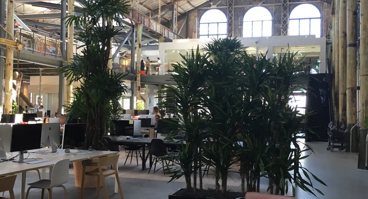 Gusto Headquarters Transformation: Wellness Through Design