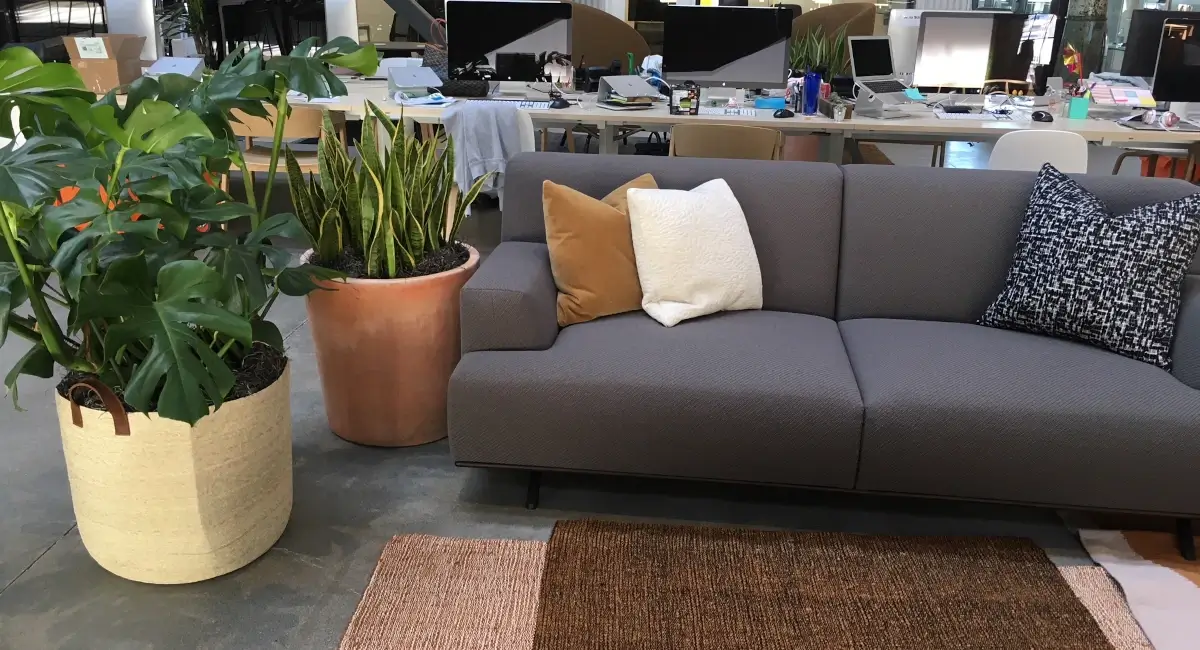 Gusto Headquarters Transformation: Wellness Through Design