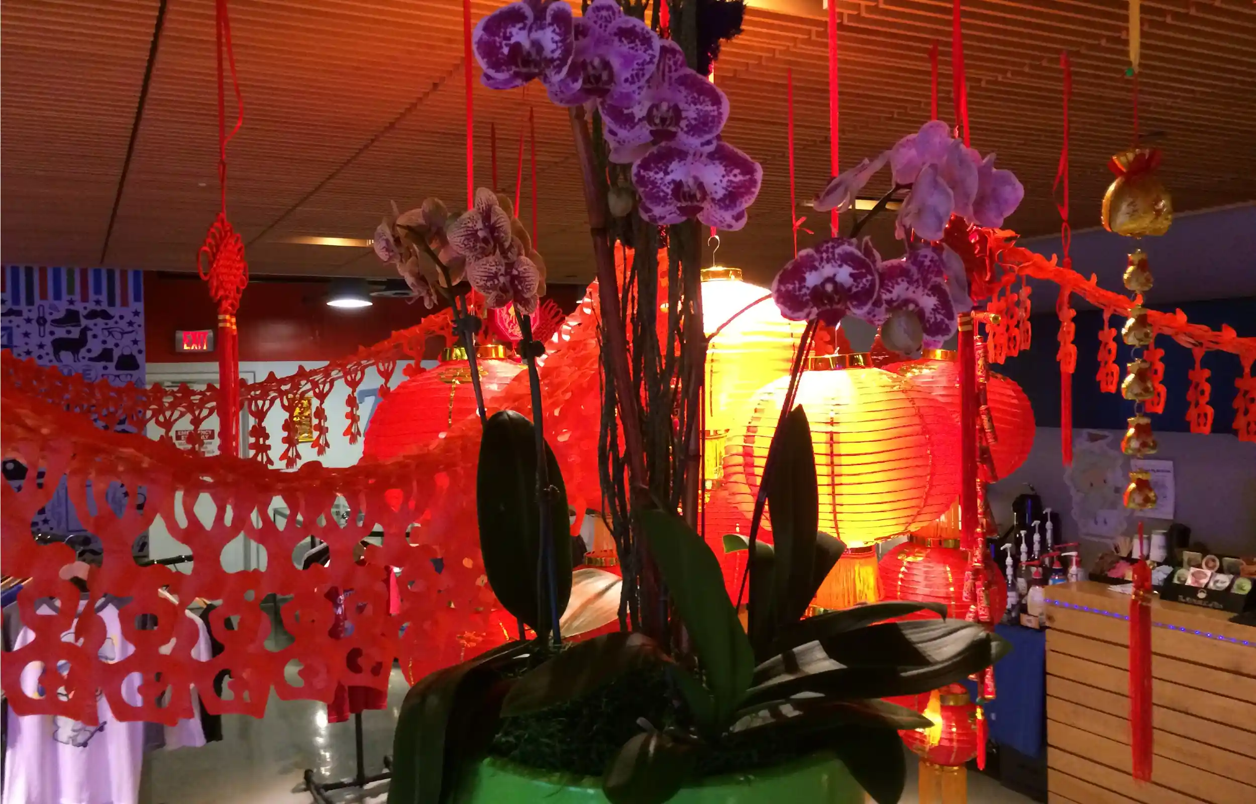 Interior Plantscaping at Zappos.com Corporate Headquarters