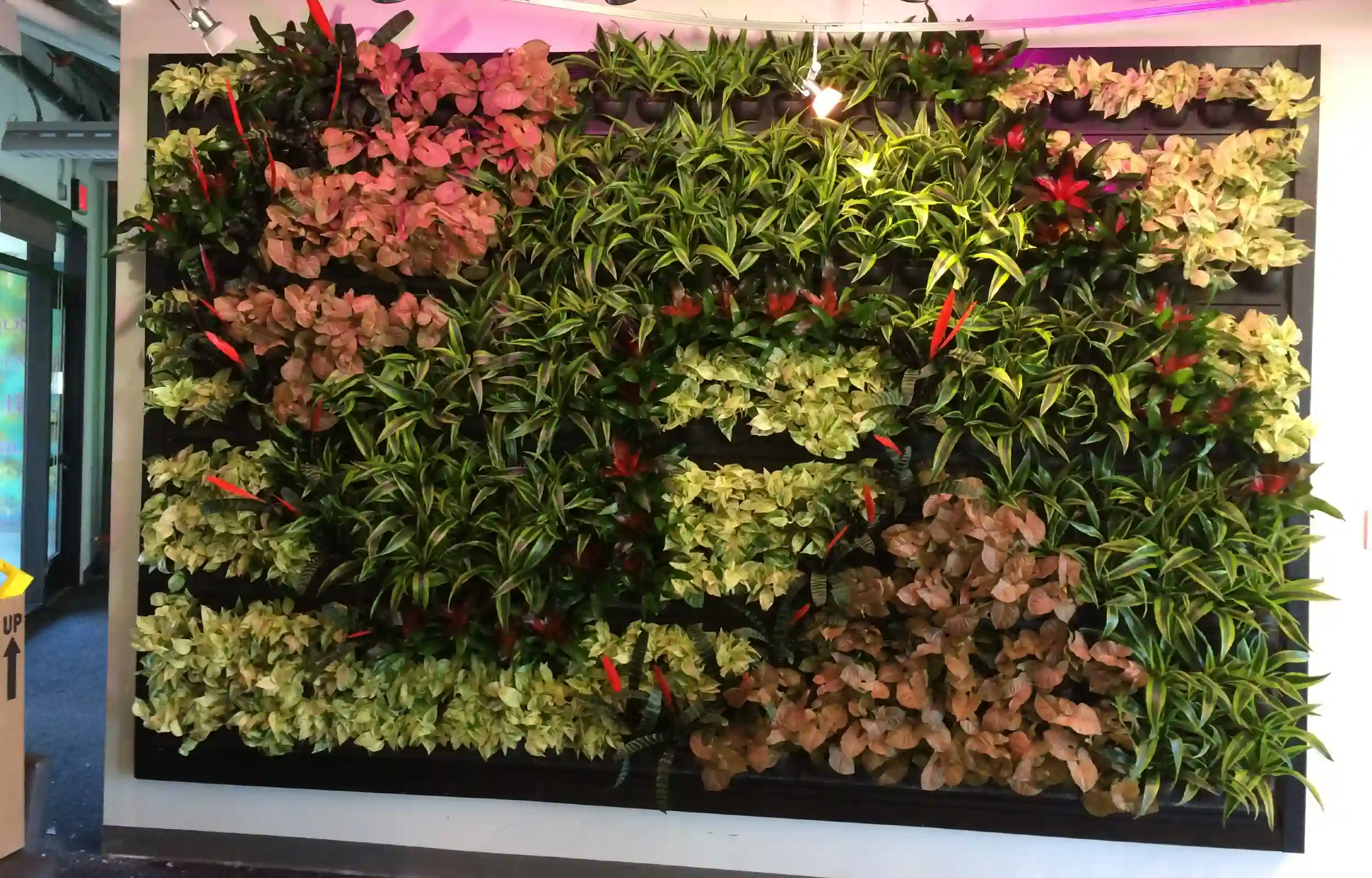 Interior Plantscaping at Zappos.com Corporate Headquarters